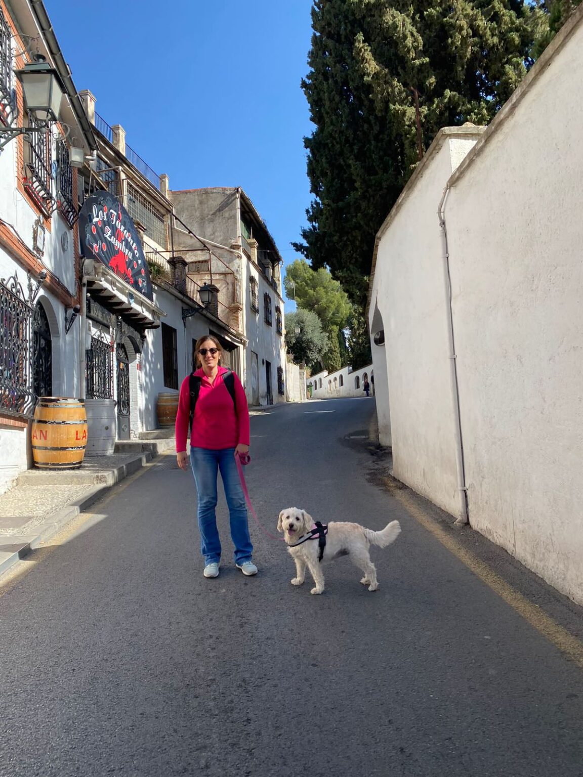 La vocación docente se globaliza a través de Elearning-Total UTN | Elearning Total