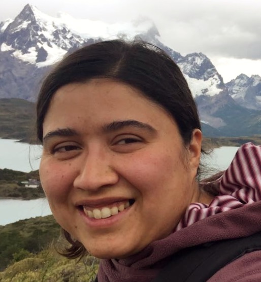 Paula Romina Mansilla UTN | Elearning Total